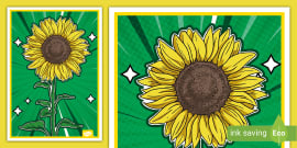 👉 Sunflower Display Cut Out (teacher made) - Twinkl