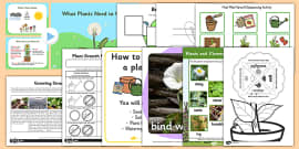 Plant Growth Sequencing Activity - Primary Resources