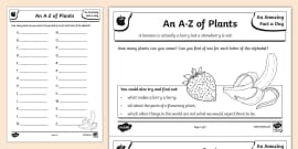 Amazing Armadillos Worksheet / Worksheet (teacher made)