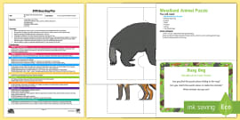 Woodland Sensory Board (teacher made) - Twinkl