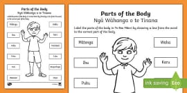 Printable Mihi Template for Kids - Write a Māori Mihi