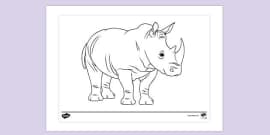 FREE! - Nora Name Simple Colouring Activity Sheet - Twinkl