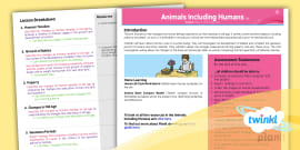 FREE! - Science: Animals Including Humans Year 4 Planning Overview