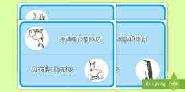 DUMTUM Table Sign (Hecho por educadores) - Twinkl