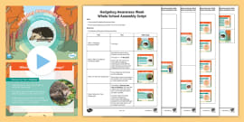 Hedgehog Resources – Classroom Display Pack (teacher made)