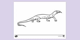 FREE! - Sand Goanna for Drawing Page Colouring Sheet - Fun Stuff