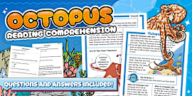 ESL Octopus Reading Comprehension | Twinkl
