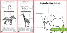 FREE! - Giraffe Spots Counting and Coloring Sheet - safari, safari animals