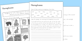 Fill in the Homophones Activity (Teacher-Made)