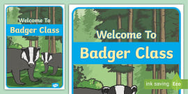 Parts of a Badger Display Poster (teacher made) - Twinkl