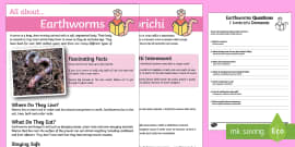 Earthworm Reading Comprehension (teacher made) - Twinkl