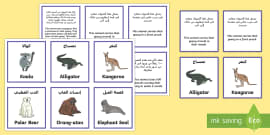 Animal Matching Cards Printable | Mother and Baby - Twinkl