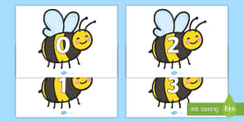 Bee Bulletin Board Ideas | World Bee Day | Twinkl USA