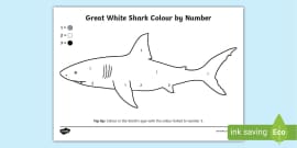 What is a Great White Shark? – Facts for Kids – Twinkl
