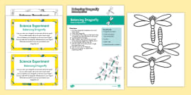 Dragonfly Life Cycle for Kids | KS2 Poster and Information