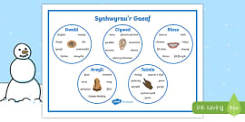 Mat Geiriau Synhwyrau (Teacher-Made) - Twinkl