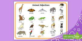Animal Adjectives Word Mat (teacher made) - Twinkl