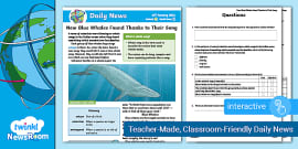 Blue Whales | The Largest Mammal in the World | Wiki