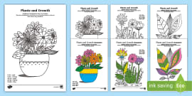 KS2 Summer-Themed Times Table Colour by Calculation Worksheets