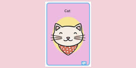 Cat Poster Display | Primary Resources (teacher made)