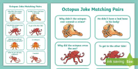 Jungle Joke Matching Pairs (teacher made) - Twinkl