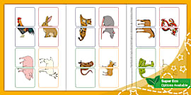 Chinese New Year Picture and Shadow Matching Activity