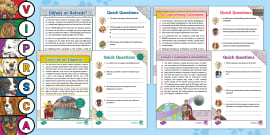 The Romans Display Pack (teacher made) - Twinkl