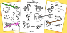 Safari Themed Addition with Pictures Worksheet / Worksheet Pack