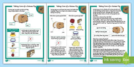 How to Care for Your Pet Guinea Pig Fact Cards