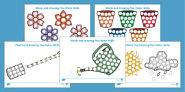 EYFS Draw Plant Pictures Pencil Control Activity Pack-Twinkl