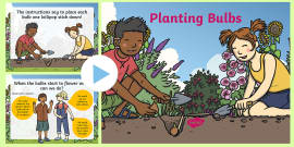 Planting Bulbs Cards (teacher made) - Twinkl