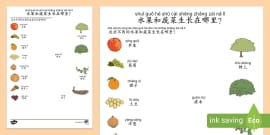 *Singapore Getting Dressed Routine Cards (Boys)*