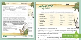 The Arabian Oryx of Qatar Fact File (teacher made) - Twinkl