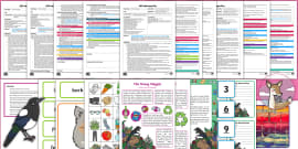 The Messy Magpie Story Map (teacher made) - Twinkl