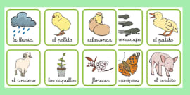 Tarjetas de vocabulario La primavera - Twinkl