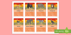 Safari Animal Card Game