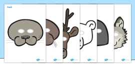 Regiuni Polare - Colorează după codul numerelor - Twinkl