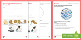 FREE! - KS3 Cells and Organisation: How to use a microscope | Beyond