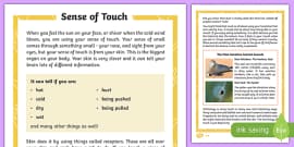 KS1 Science Senses Touch PowerPoint (teacher made)