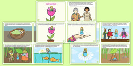 What is the story of Thumbelina? - Twinkl