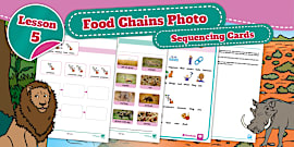 Step into Science: Year 4: Summer: Block 5: Food Chains: Steps 1 to 4