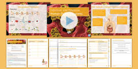 Immune Response Sequencing Cards Activity | Beyond - Twinkl