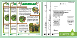 KS2 All about Garden Birds Differentiated Reading Comprehension Activity