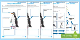 Antarctica display, Polar Region, south pole, antarctic