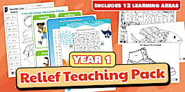 Year 4 Relief Teaching Pack | Low Prep Classroom Activities