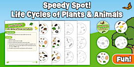 Third Grade Animal Life Cycles Game