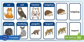 Nocturnal Animals Word cards (teacher made) - Twinkl