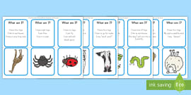'What Am I?' Food-Themed Guessing Game Riddles for Kids