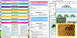* NEW * Minibeast Mini Book Writing Activity (teacher made)