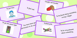 Animal Idioms Matching Cards (teacher made)